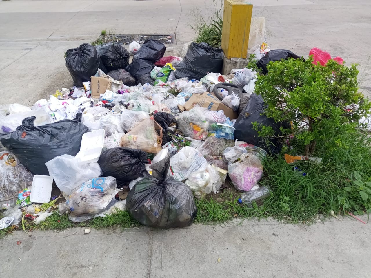 Acumulación de basura afecta a habitantes de la Urb. Guasimal