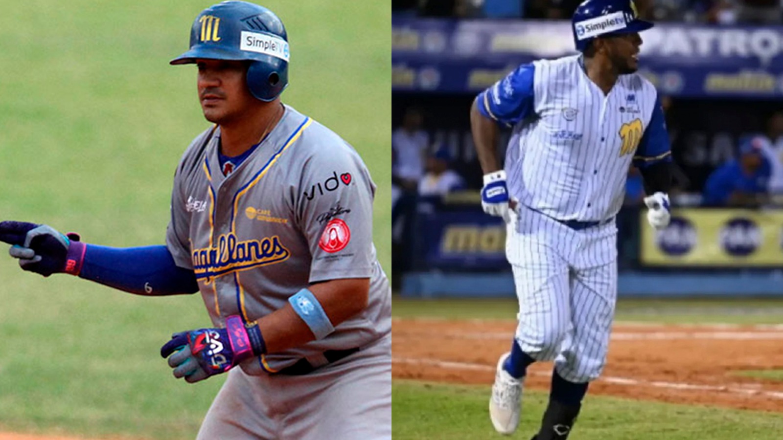 Magallanes liberó a 65 beisbolistas para la nueva temporada de LVBP